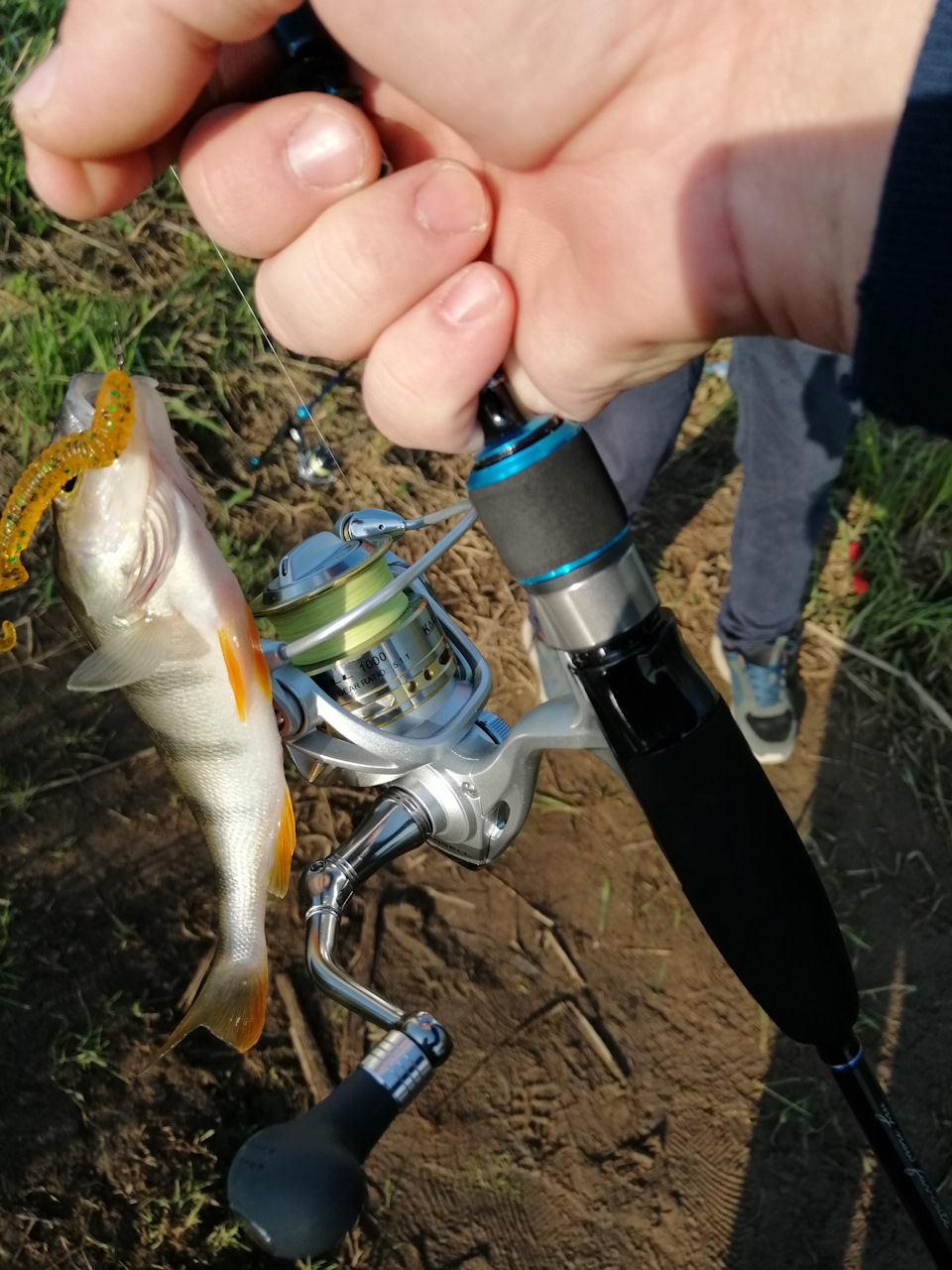 410600012R Колодки тормозные передние Laguna III RENAULT | Запчасти на ...