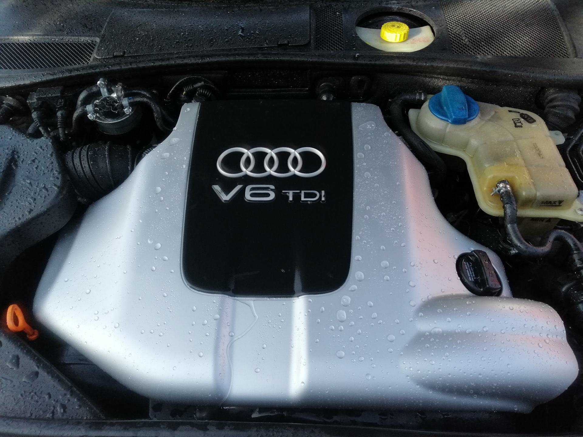 Ремонт генератора, Замена датчика G266, замена опоры амортизатора и др. — Audi A6 Avant (C5), 2 ...