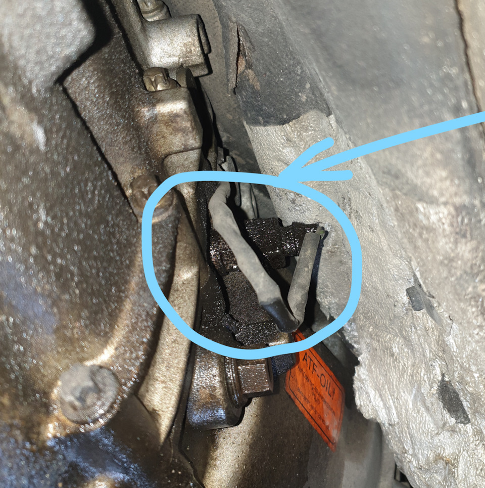 23147524811 Выключатель фонарей заднего хода BMW | Запчасти на DRIVE2