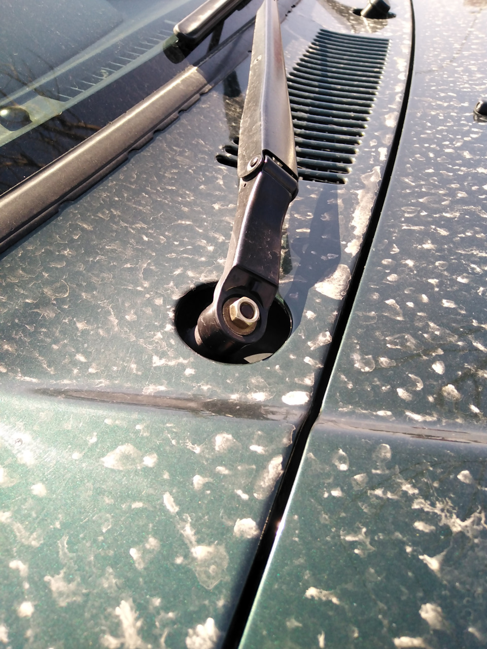 Заглушка гайки стеклоочистителя — Toyota Land Cruiser Prado 90-series ...