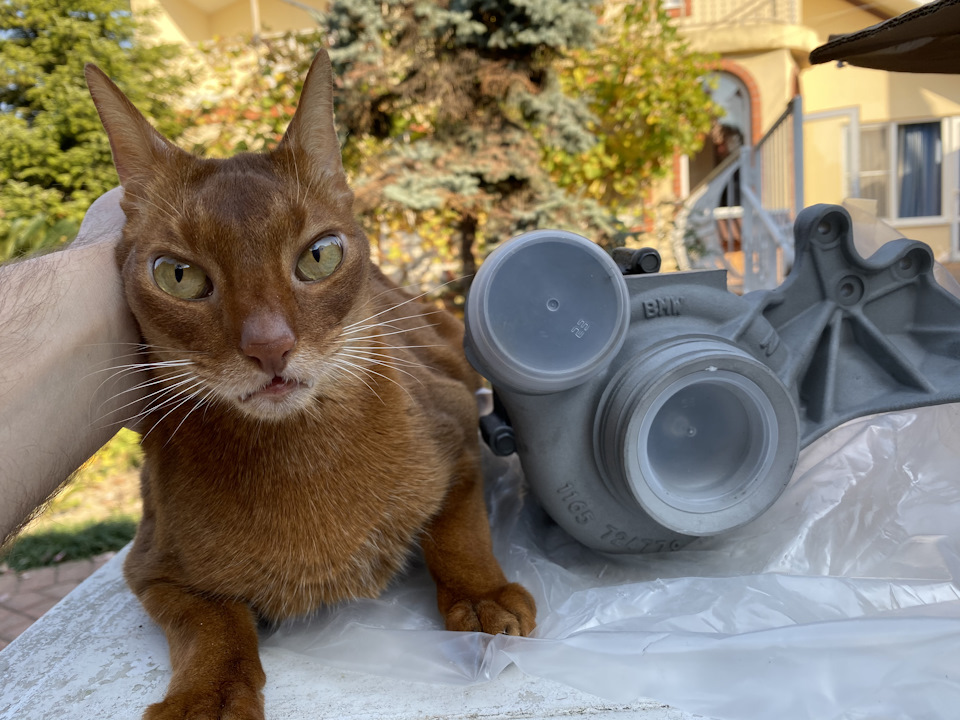 Новая турбина, замер 0-100 и вопрос к нашим — BMW 3 series (F30), 2 л ...