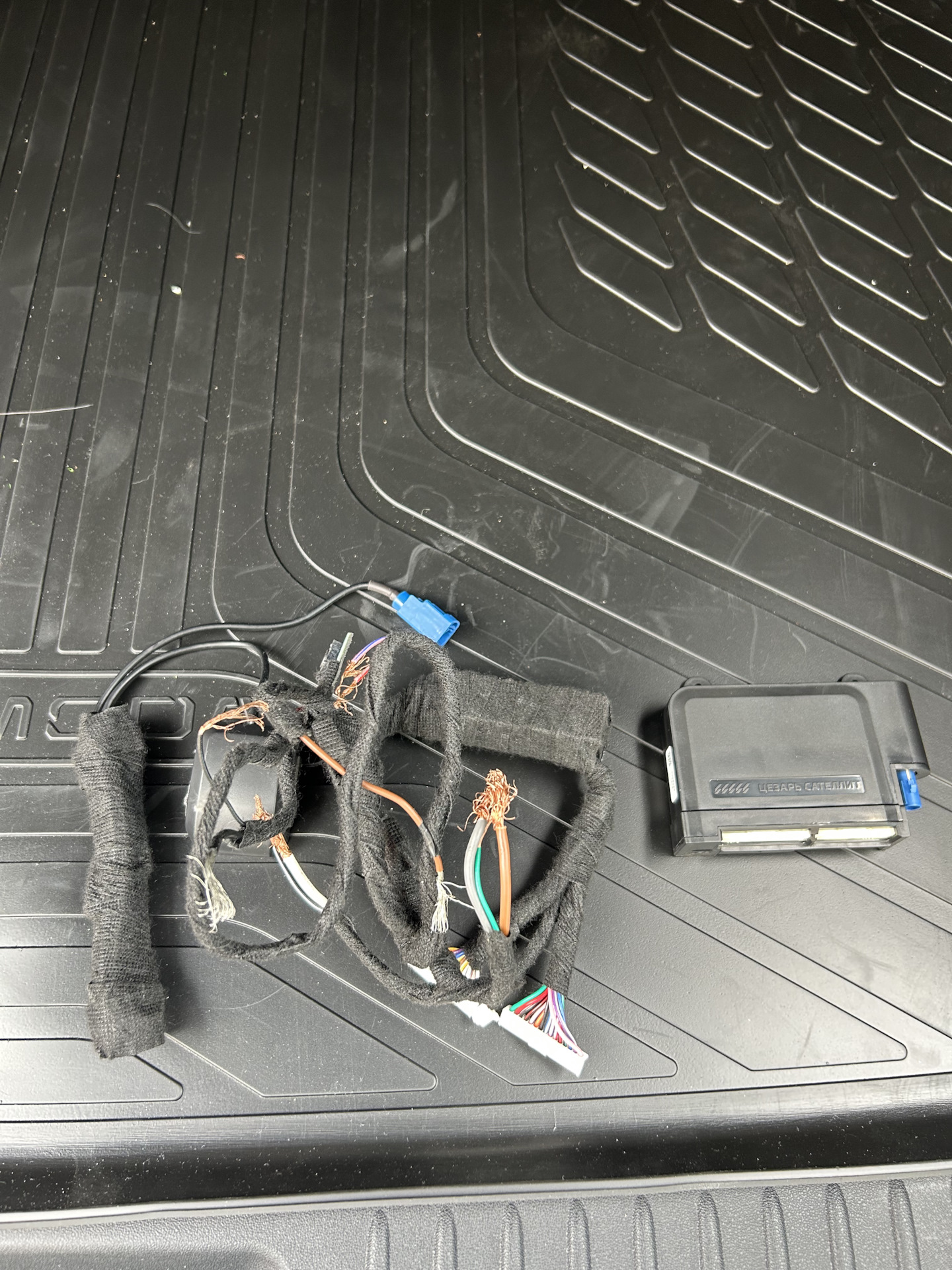 Цезарь сателлит Смарт — Omoda C5, 1,5 л, 2023 года | другое | DRIVE2