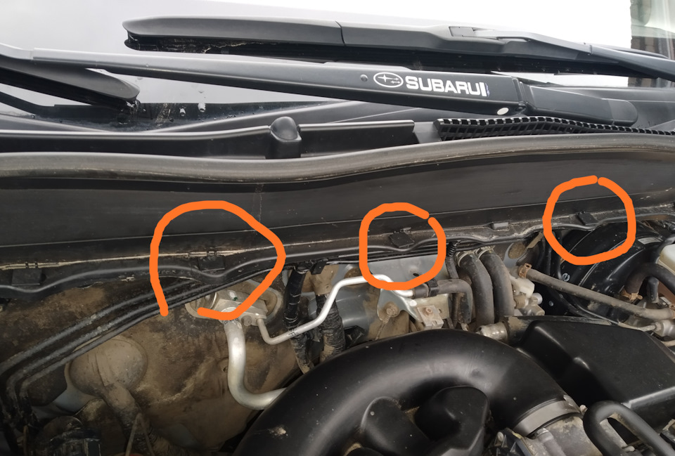 Первые ништяки — Subaru Forester (SJ), 2 л, 2014 года | аксессуары | DRIVE2