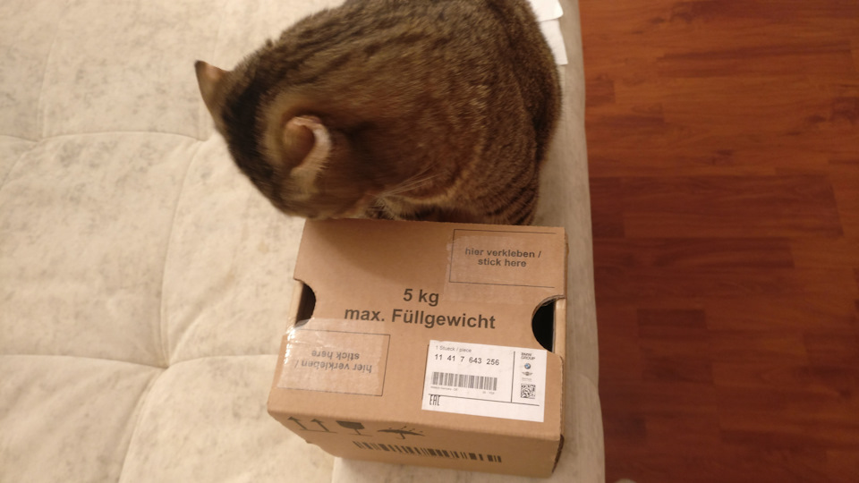 11417643256 Насос масляный BMW | Запчасти на DRIVE2