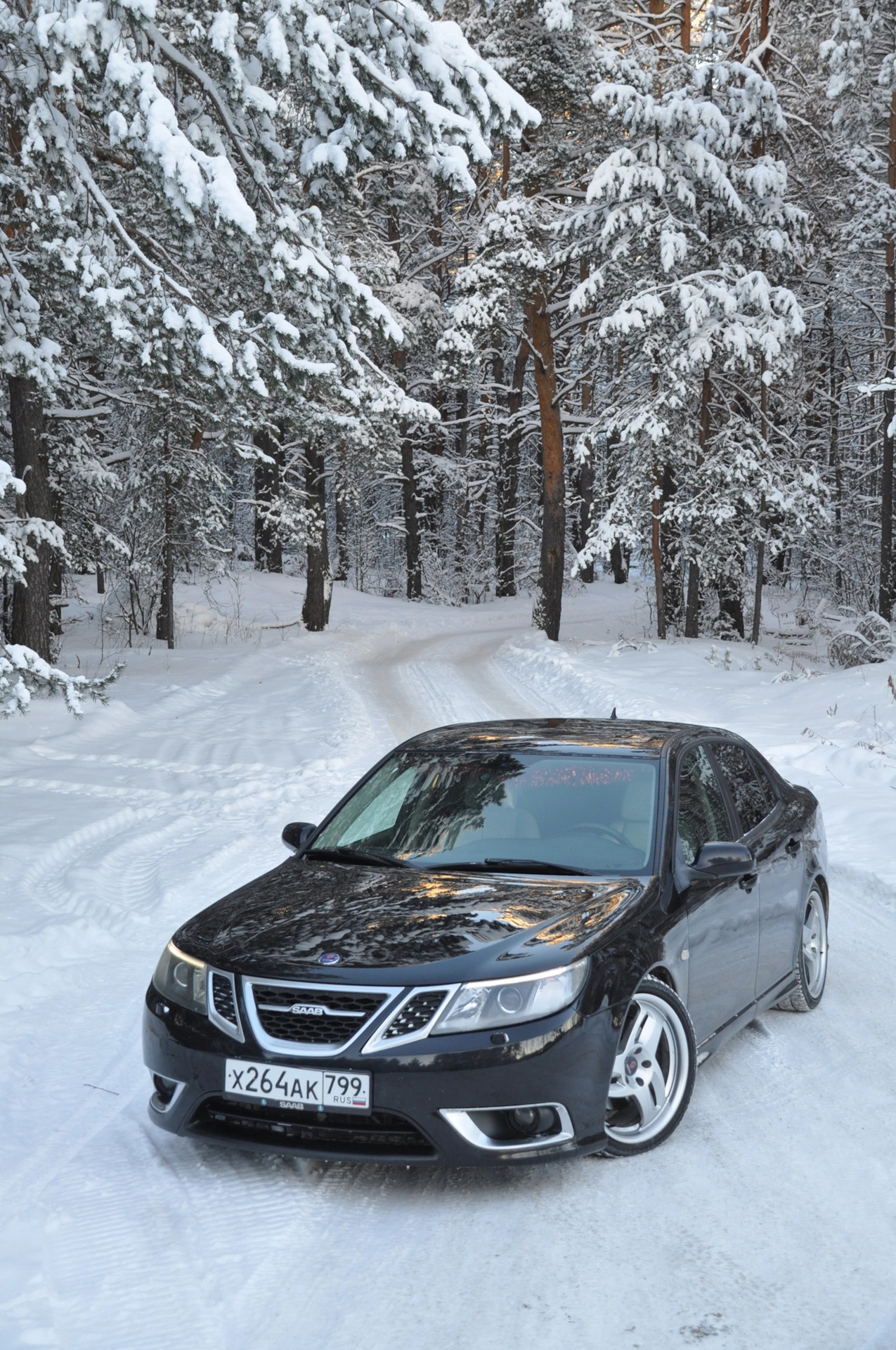 2023. Главное приобретение года — Saab 9-3 (2G), 2,8 л, 2007 года | тюнинг | DRIVE2