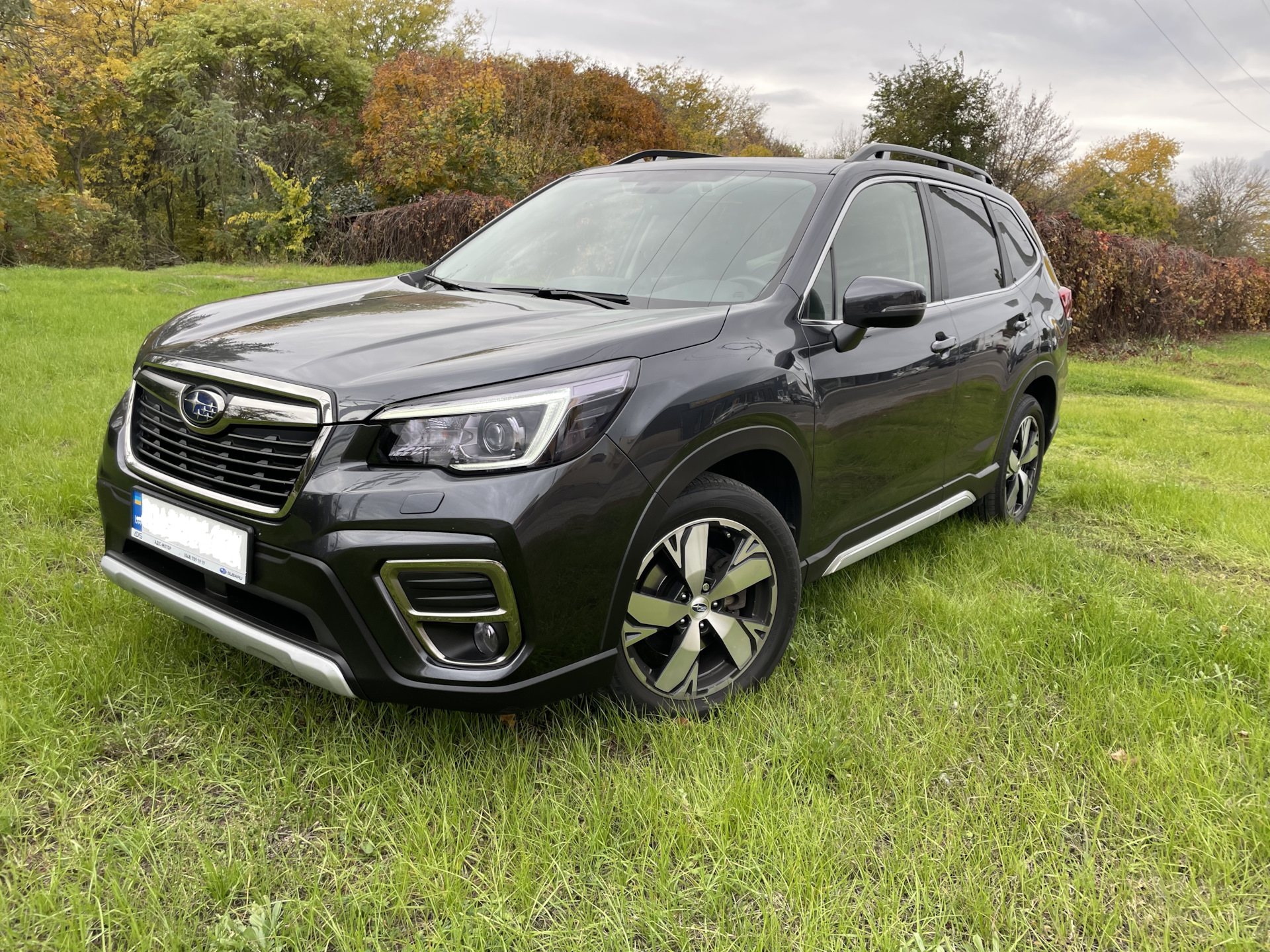 "Друг" выставлен на продажу, встречаем Нового. — Subaru Forester (SJ ...