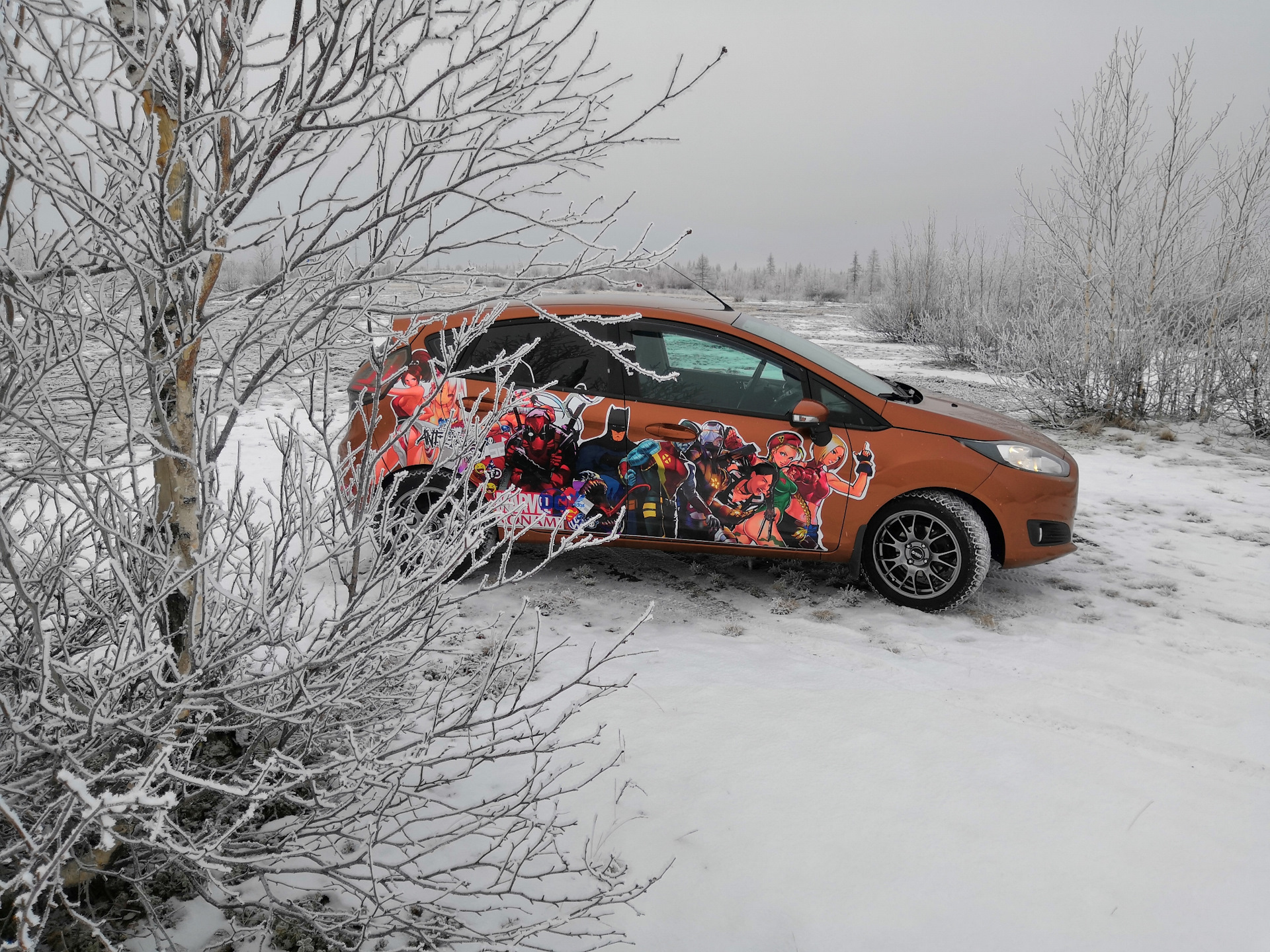 Слик — Ford Fiesta (Mk VI), 1,6 л., 2012 года | колёсные диски | DRIVE2