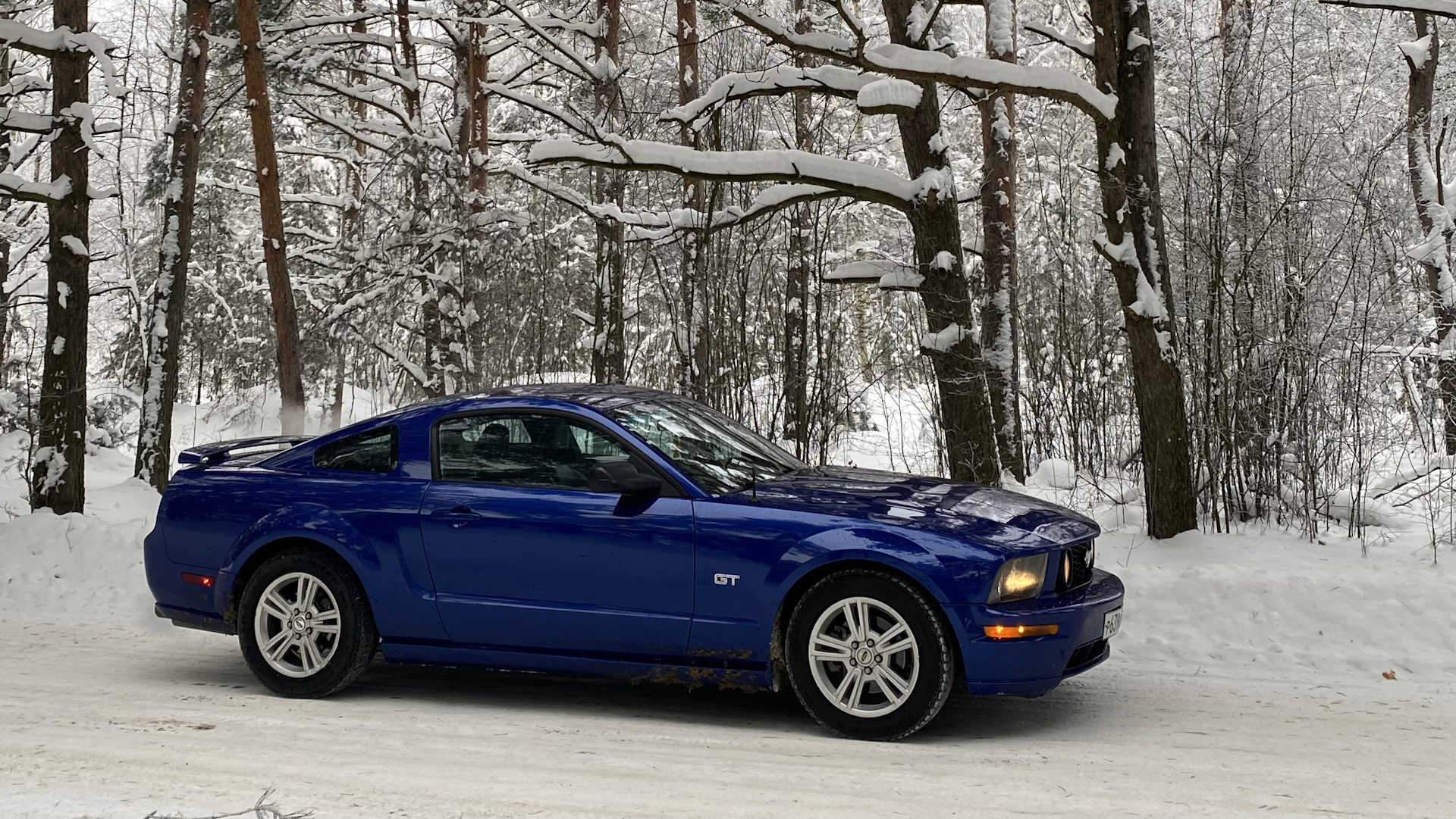 ТО — Ford Mustang (5G), 4,6 л, 2006 года | плановое ТО | DRIVE2