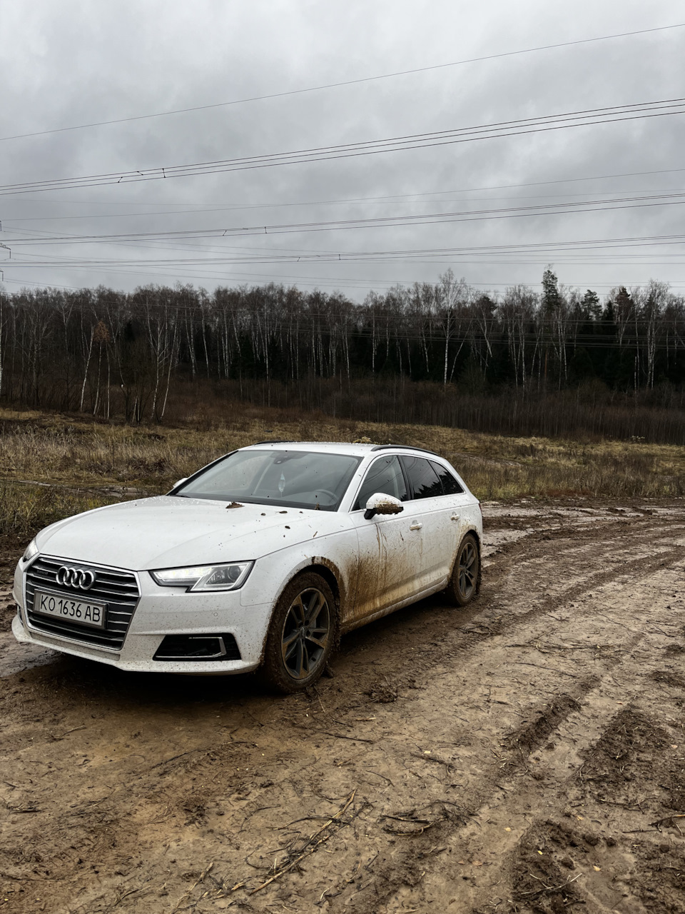 Настало время немного проверить Quattro на a4b9 — Audi A4 Avant (B9), 2 л, 2018 года | просто ...