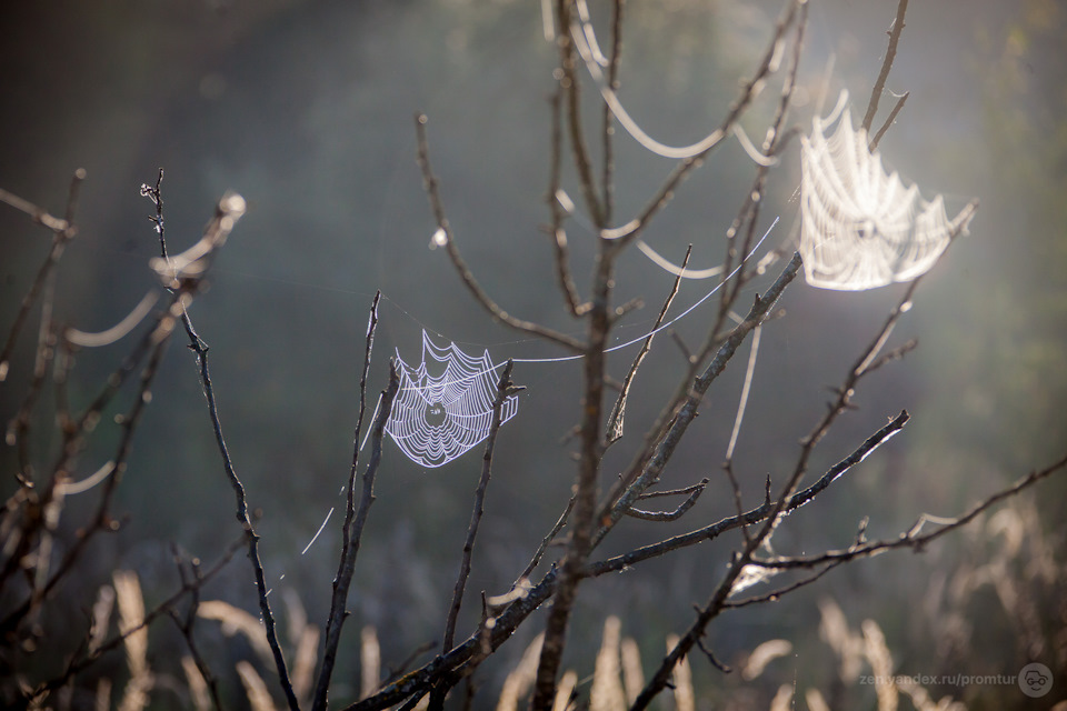 K00022 KORTEX | Запчасти на DRIVE2