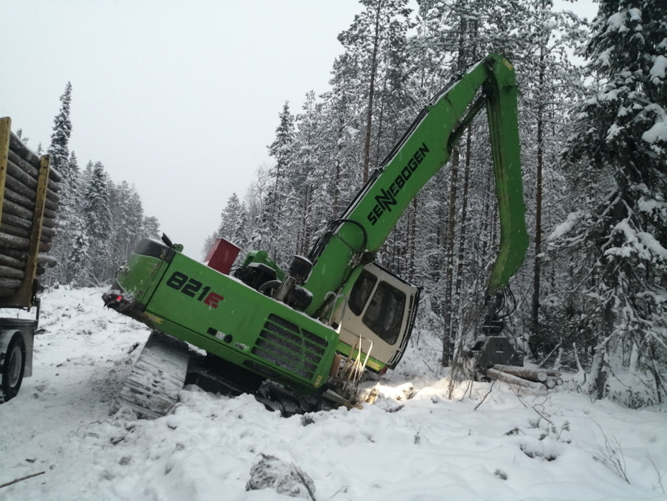 Расчёска заднего бампера — Skoda Octavia A7 Mk3, 1,6 л, 2015 года ...