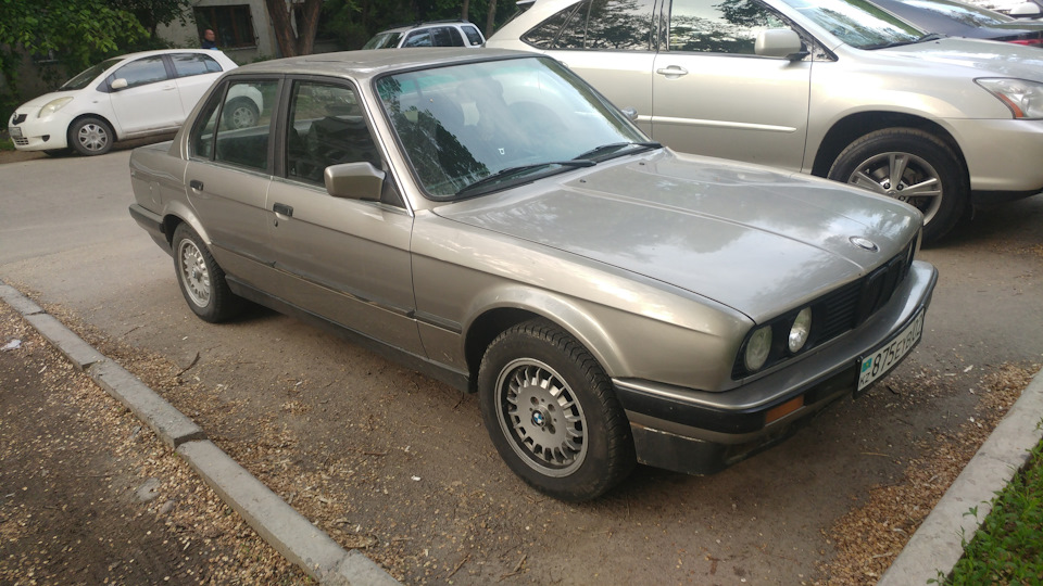 Первое знакомство — BMW 3 series (E30), 2,4 л, 1988 года | просто так | DRIVE2