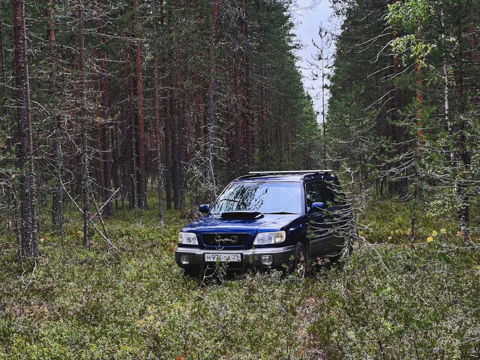 Лесник в своей стихии — Subaru Forester (SF), 2 л, 1999 года ...