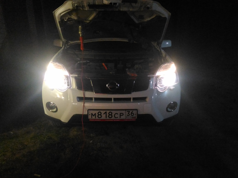 PIAA лампочки ближнего света NIGHT TECH H11 HE-824 (3600K) — Nissan X ...