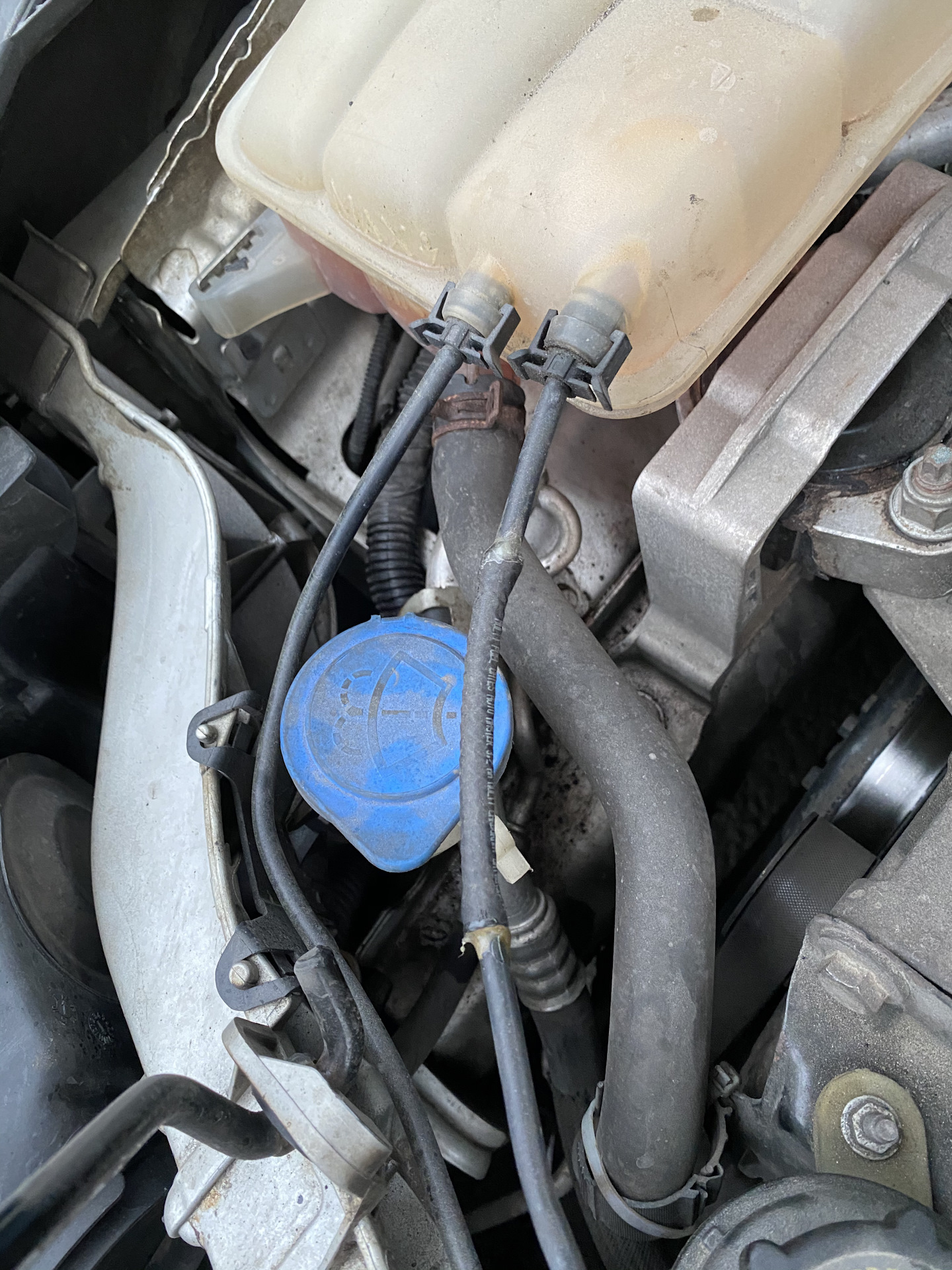 Патрубки и шланги системы охлаждения — Ford Focus III Hatchback, 1,6 л ...