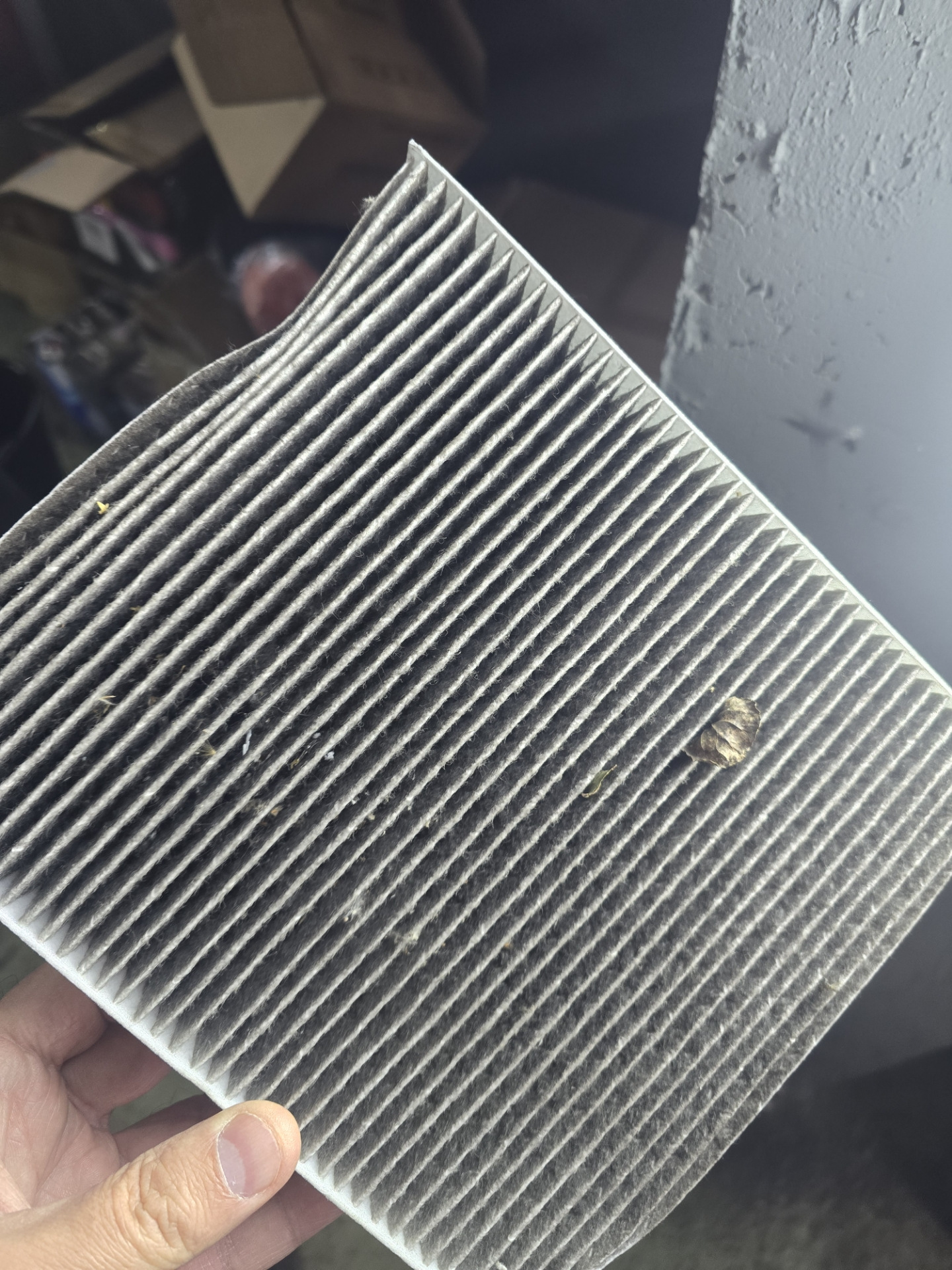 Первая замена масла — BYD Song Plus DM-i, 1,5 л, 2024 года | плановое ...