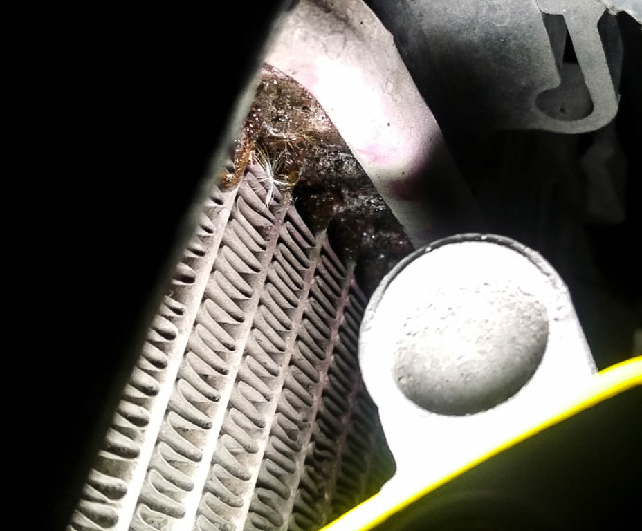 радиатор Luzar — Ford C-Max I, 1,8 л, 2005 года | запчасти | DRIVE2