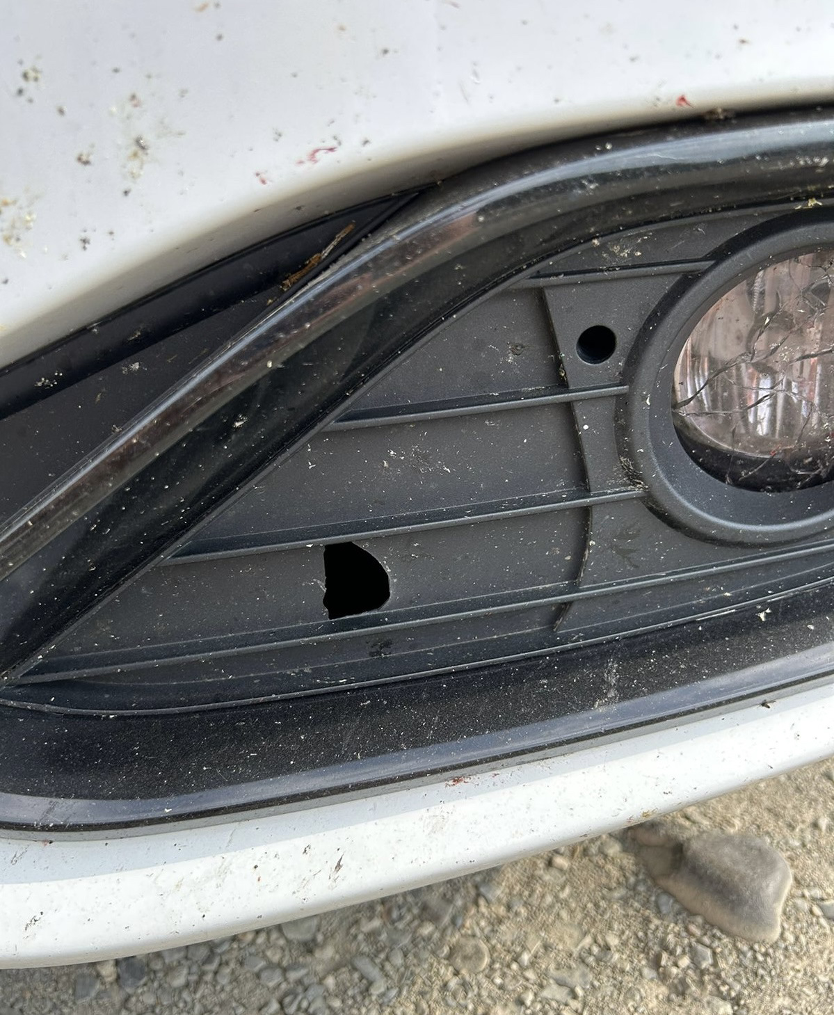 Замена решетки и ПТФ — BMW 4 series (F32), 2 л, 2014 года | расходники ...