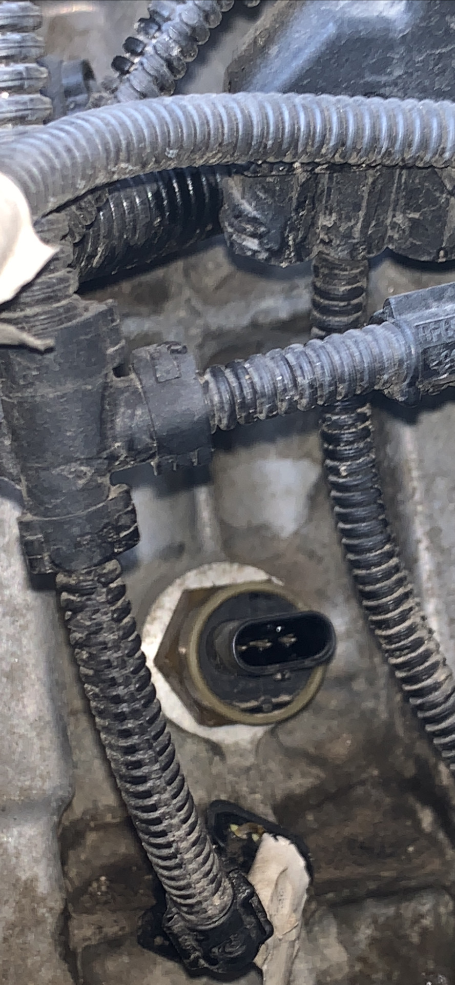 датчик температуры и давления масла N20b20, дал течь — BMW 5 series ...