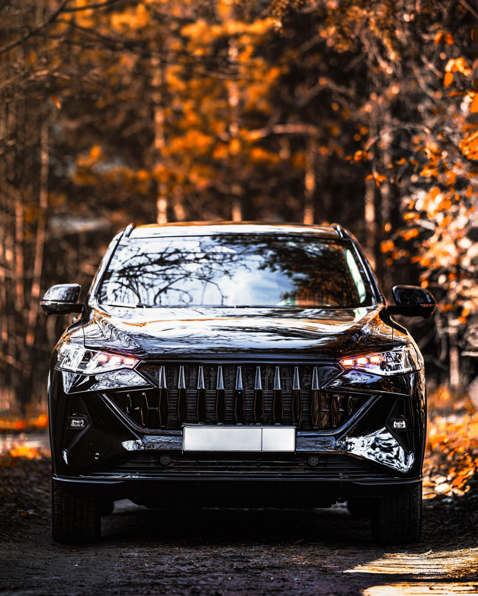 Сколько раз в день вы моете свой чёрный авто? — Haval F7x, 2 л, 2023 года | фотография | DRIVE2