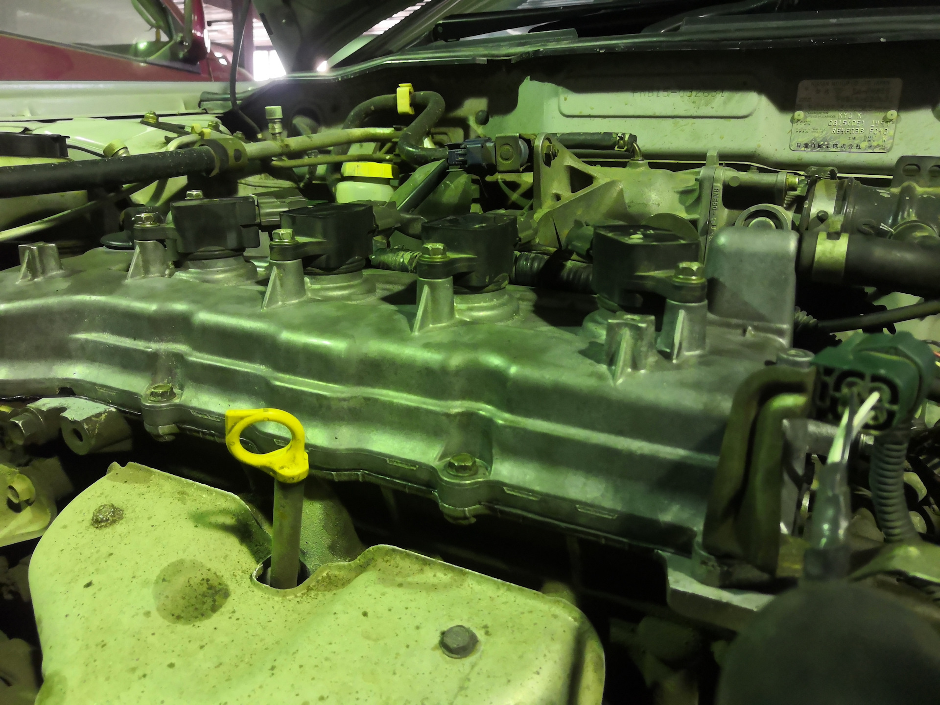 Что за зверь там сидит? — Nissan Sunny (B15), 1,5 л, 2002 года | своими ...