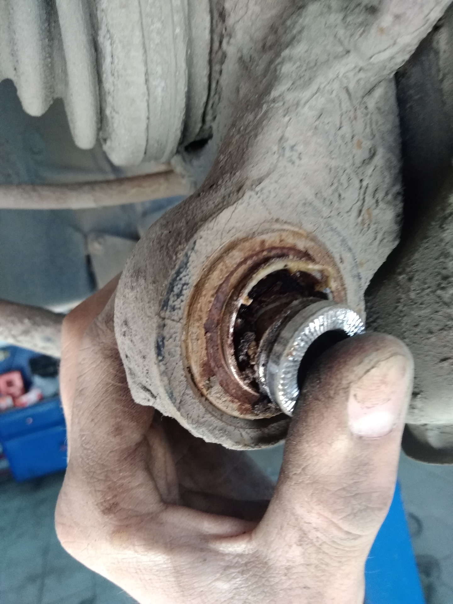 Замена масла и прокладок под кронштейном масляного фильтра — Honda ...