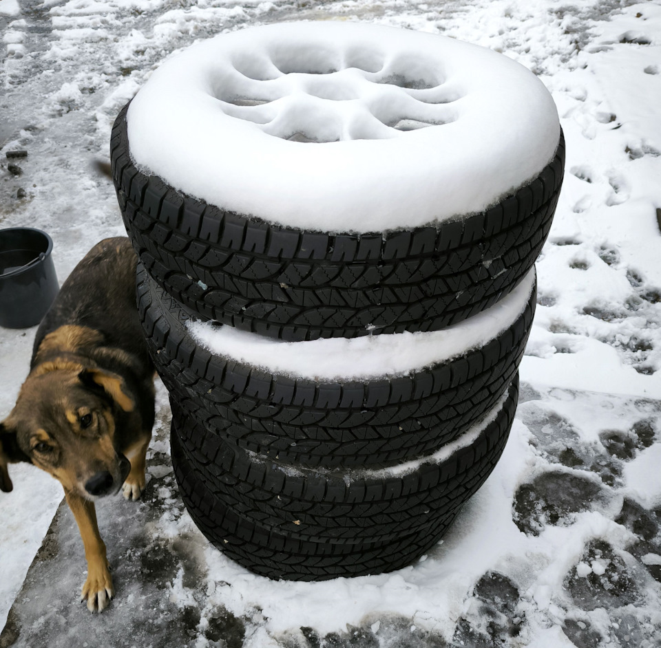 Летняя резина King Boss RA17 (Goform Wildtrac AT01) 215/70 R16 после первого сезона эксплуатации ...