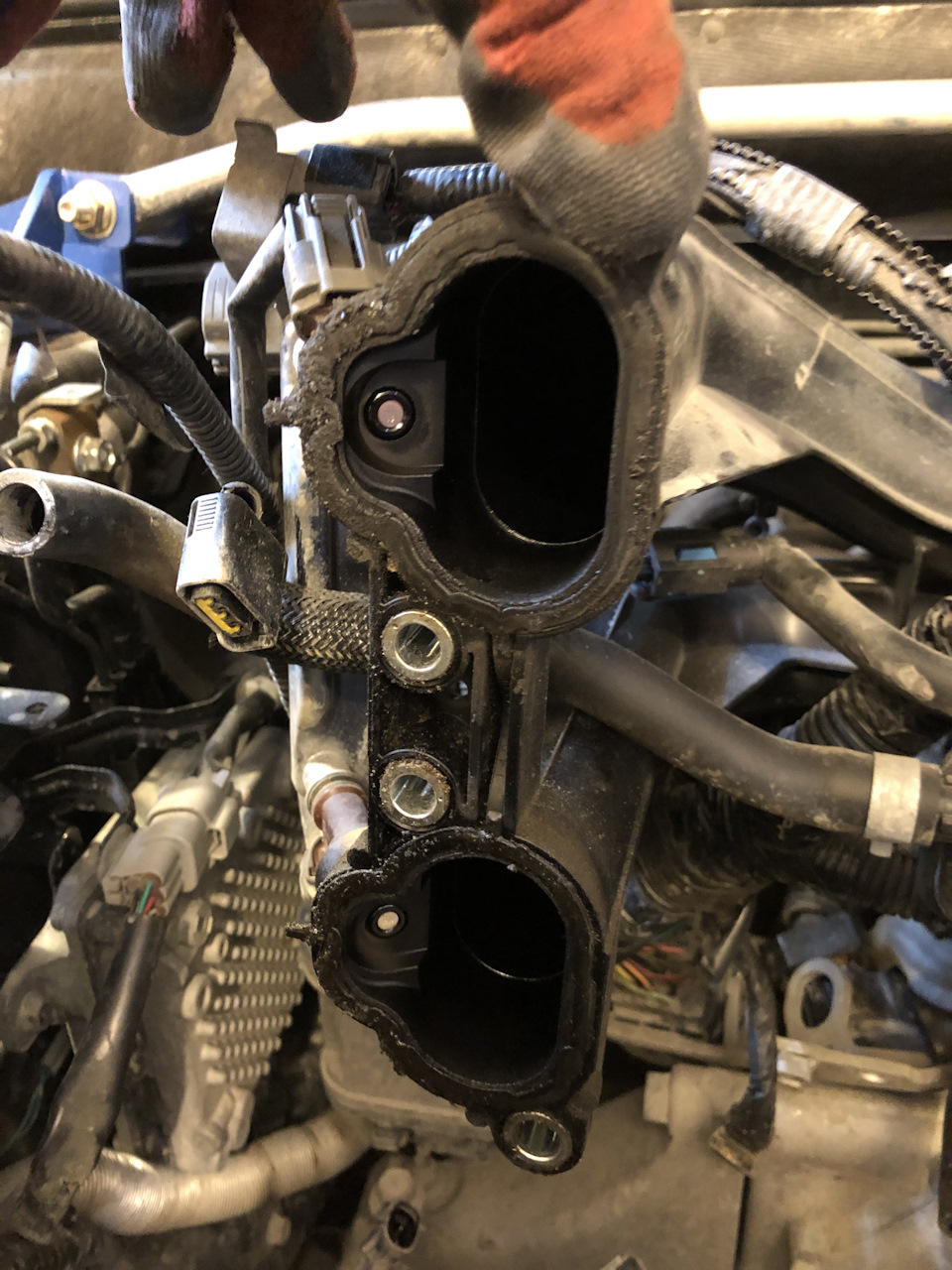 Обслуживание мотора и задней подвески — Subaru Outback (BR), 2,5 л ...