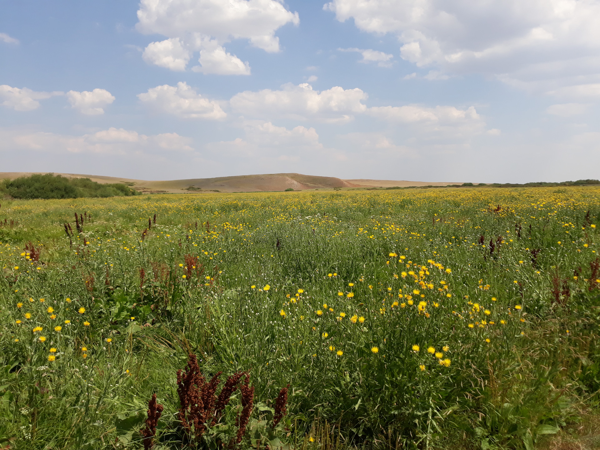 Мойка подкапотного пространства — Audi A3 Sedan (8V), 1,4 л, 2015 года | мойка | DRIVE2