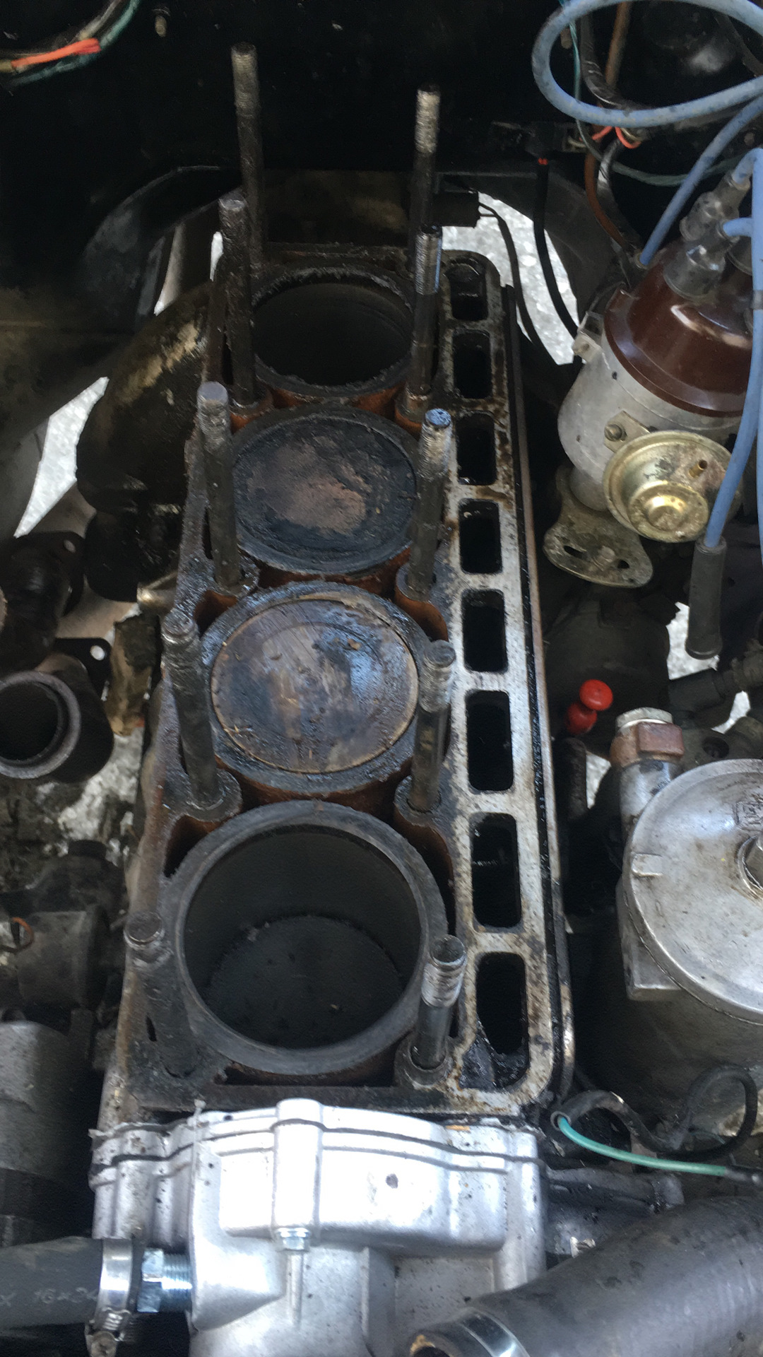 Лепестки на руле поло седан — Volkswagen Polo Sedan, 1,6 л, 2011 года ...