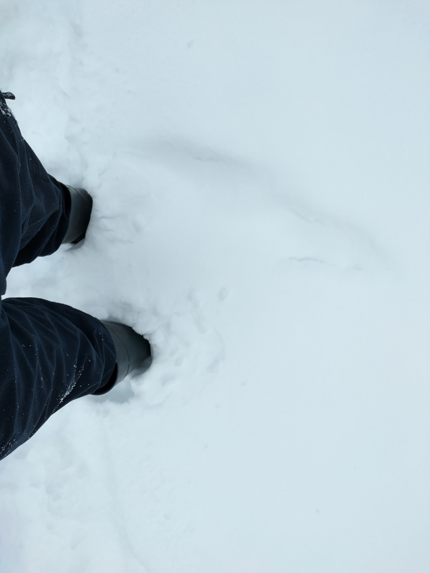 Tank 300 на снегу. Стоит ли брать? Немного впечатлений о модели. — Tank ...