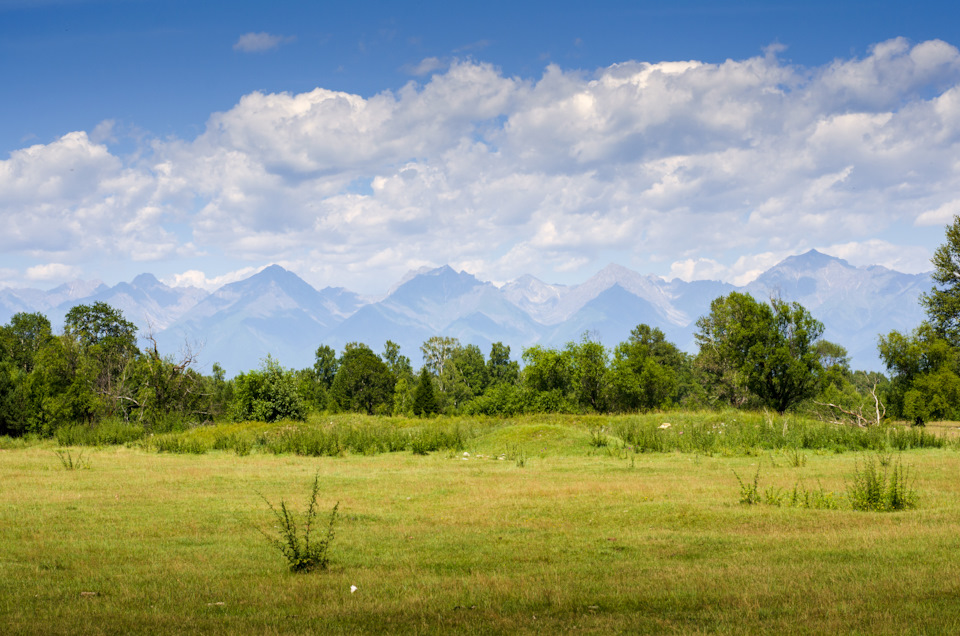 Плановая замена цепи ГРМ — Audi Q3 (1G), 2 л, 2013 года | визит на ...
