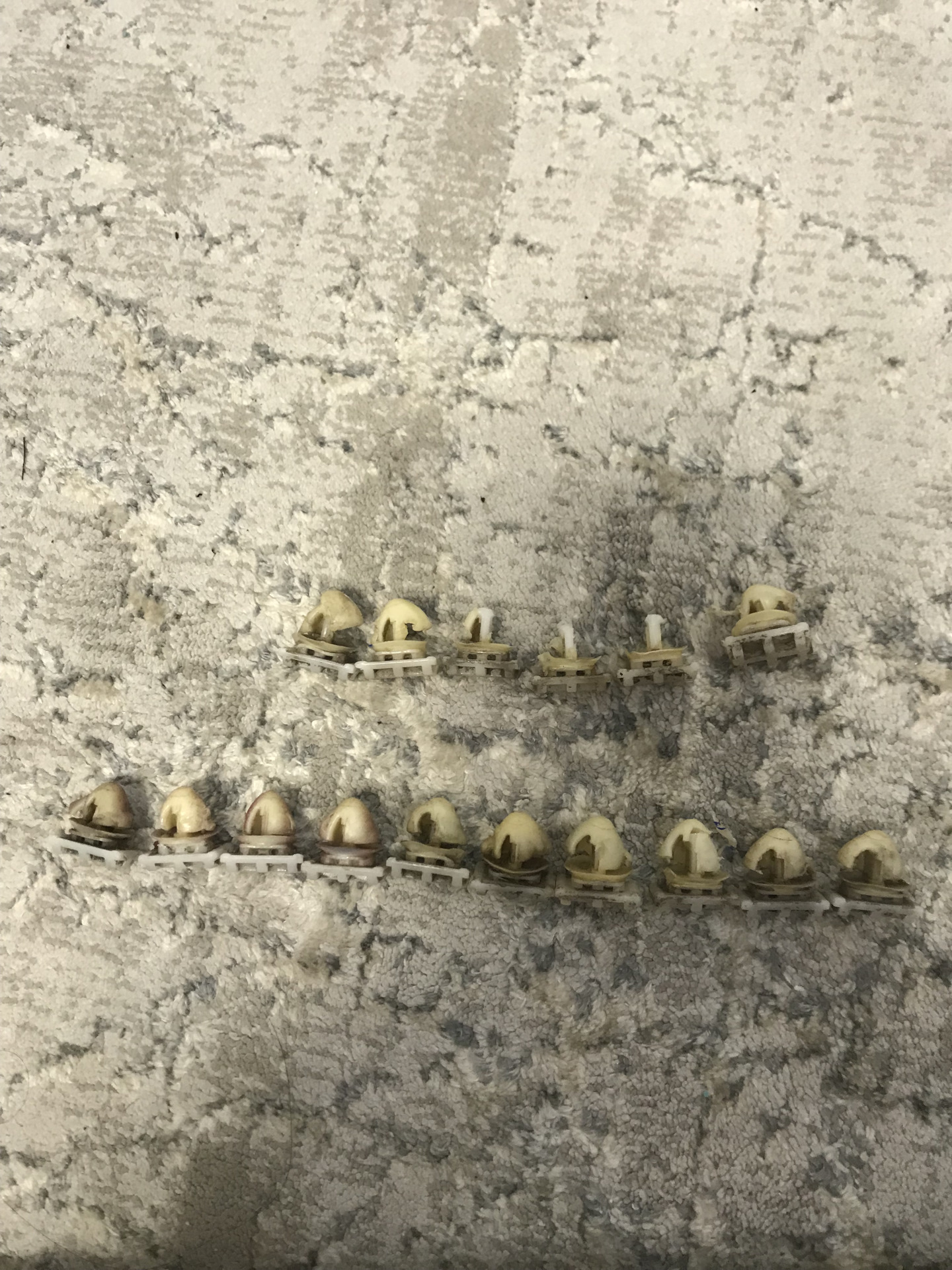 Молдинг двери нижний (металл-резина) и замена старых клипс — Toyota ...