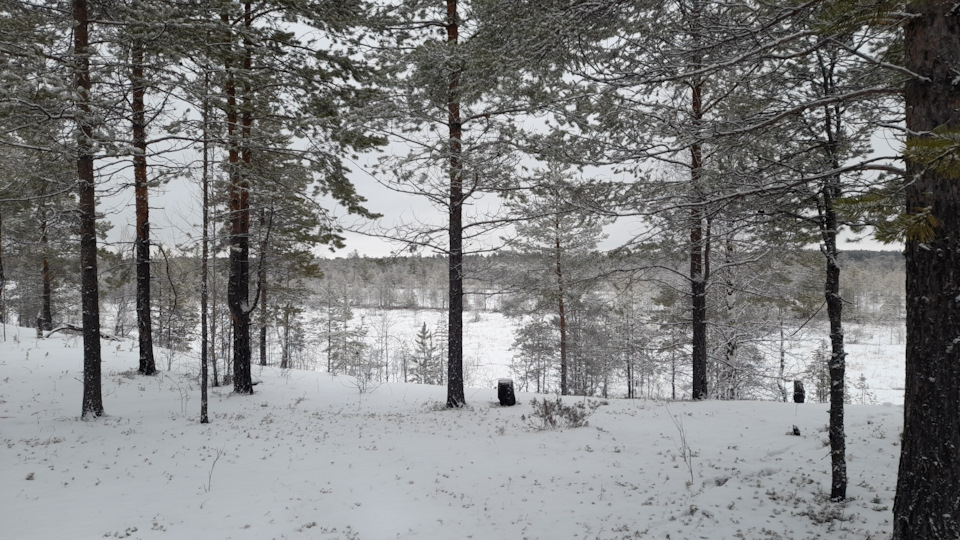 Ну ведь если захотят, то могут! — BMW 5 series (G30), 3 л, 2020 года | покупка машины | DRIVE2