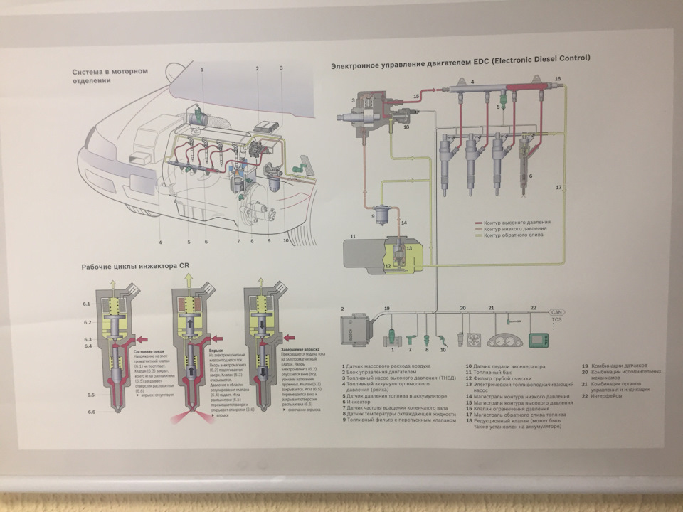 Покупка некоторые работы и диагностика — Opel Astra H, 1,7 л, 2009 года ...
