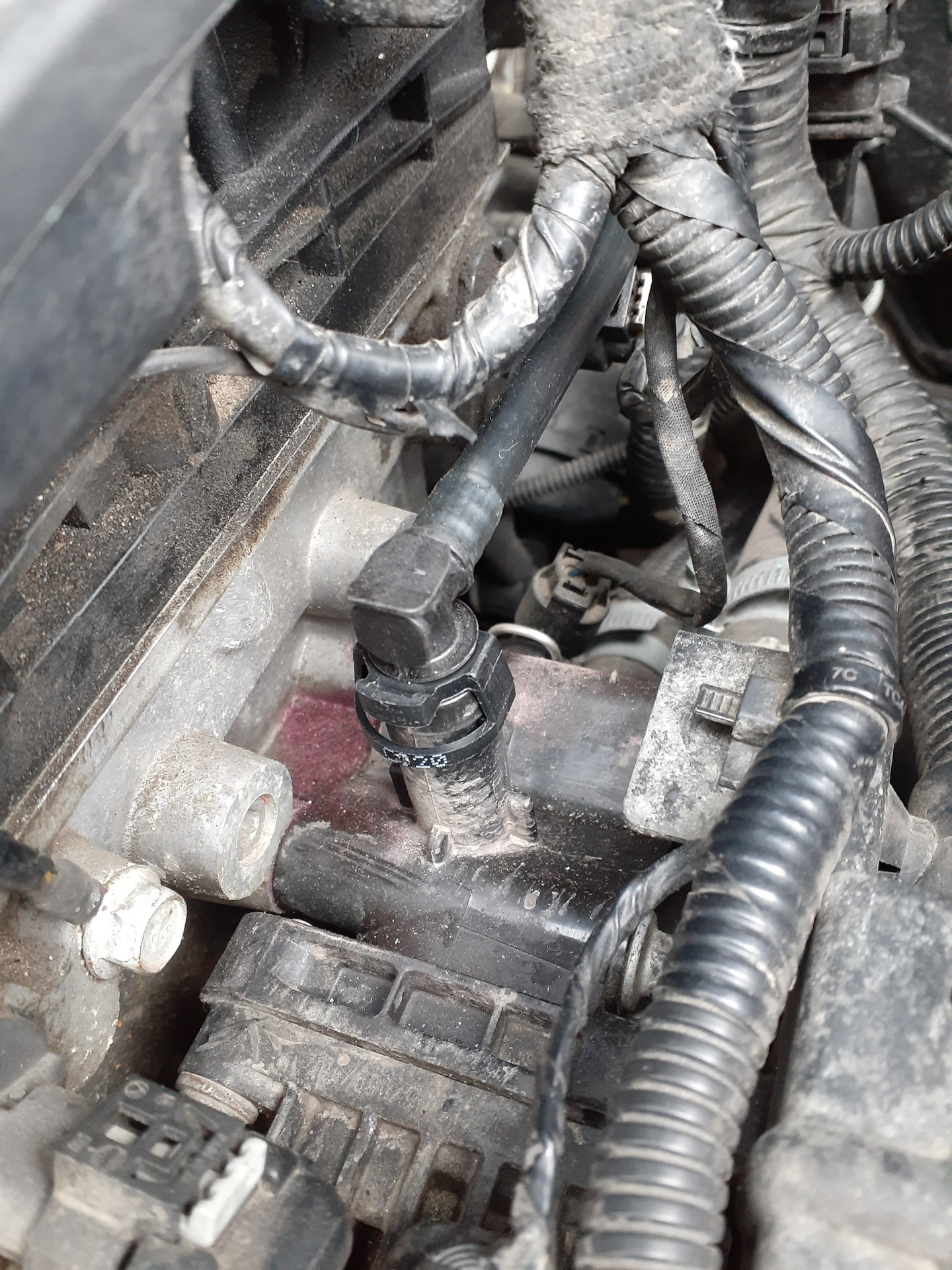 Плановое ТО + родовые болячки Cruze — Chevrolet Cruze (1G), 1,8 л, 2014 ...