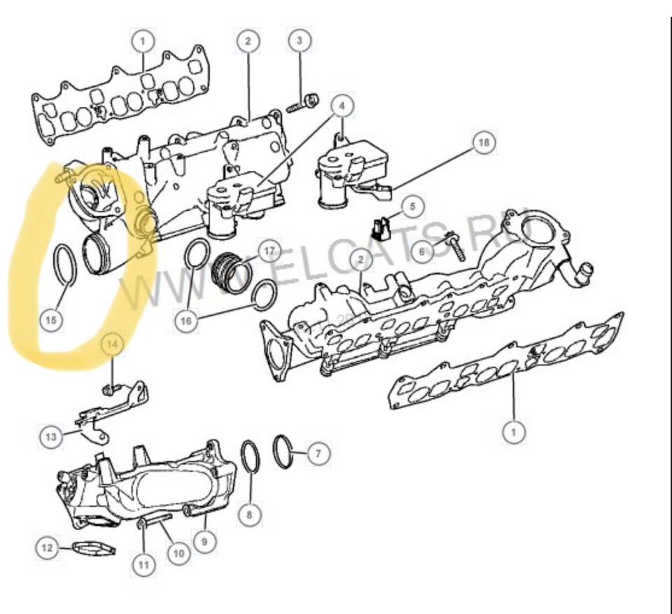 A0139970045 Кольцо уплот. трубопров. наддув воздуха Mercedes | Запчасти ...