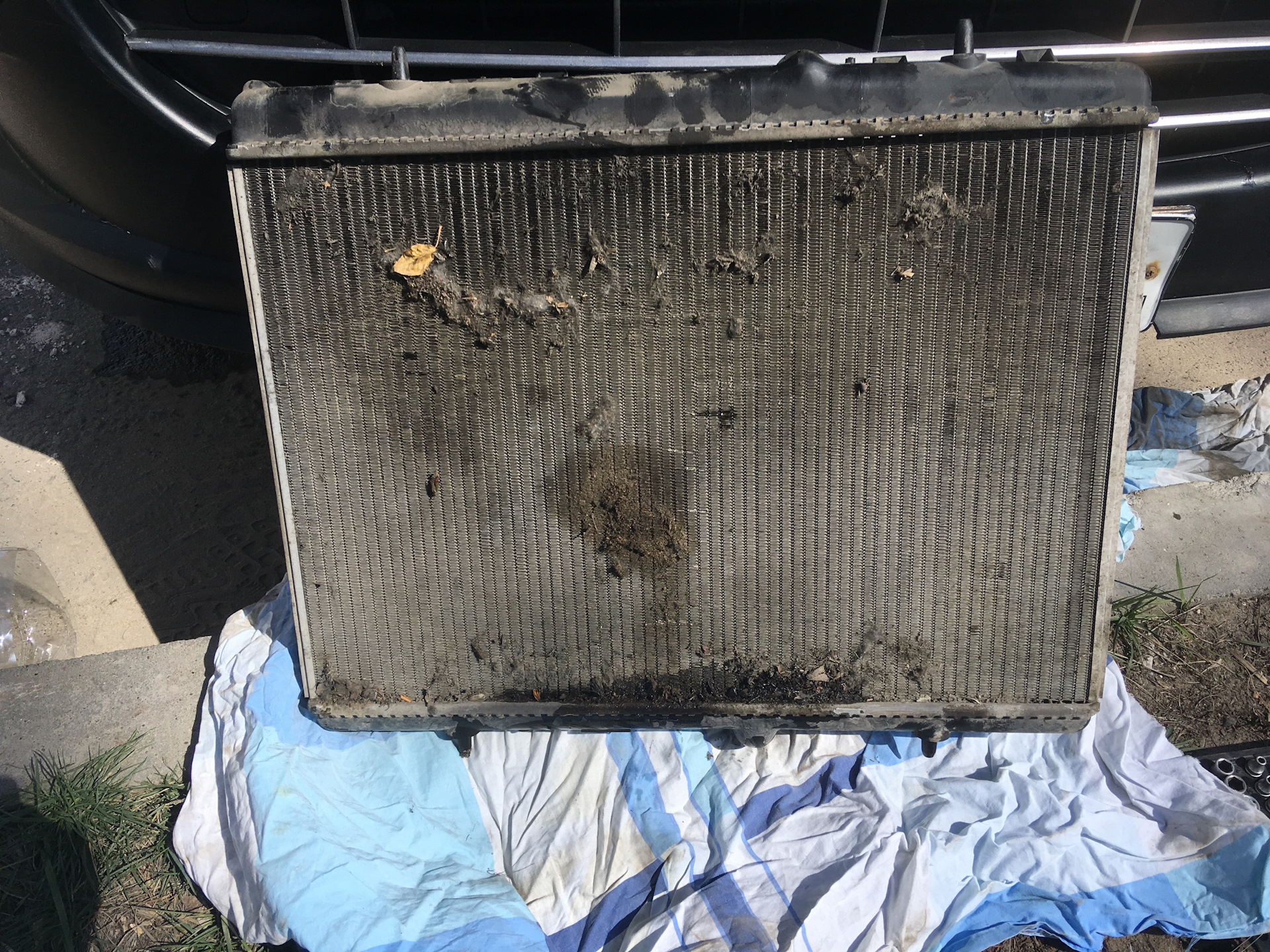 Радиатор кондиционера и охлаждения. — Peugeot 407, 1,8 л, 2008 года ...