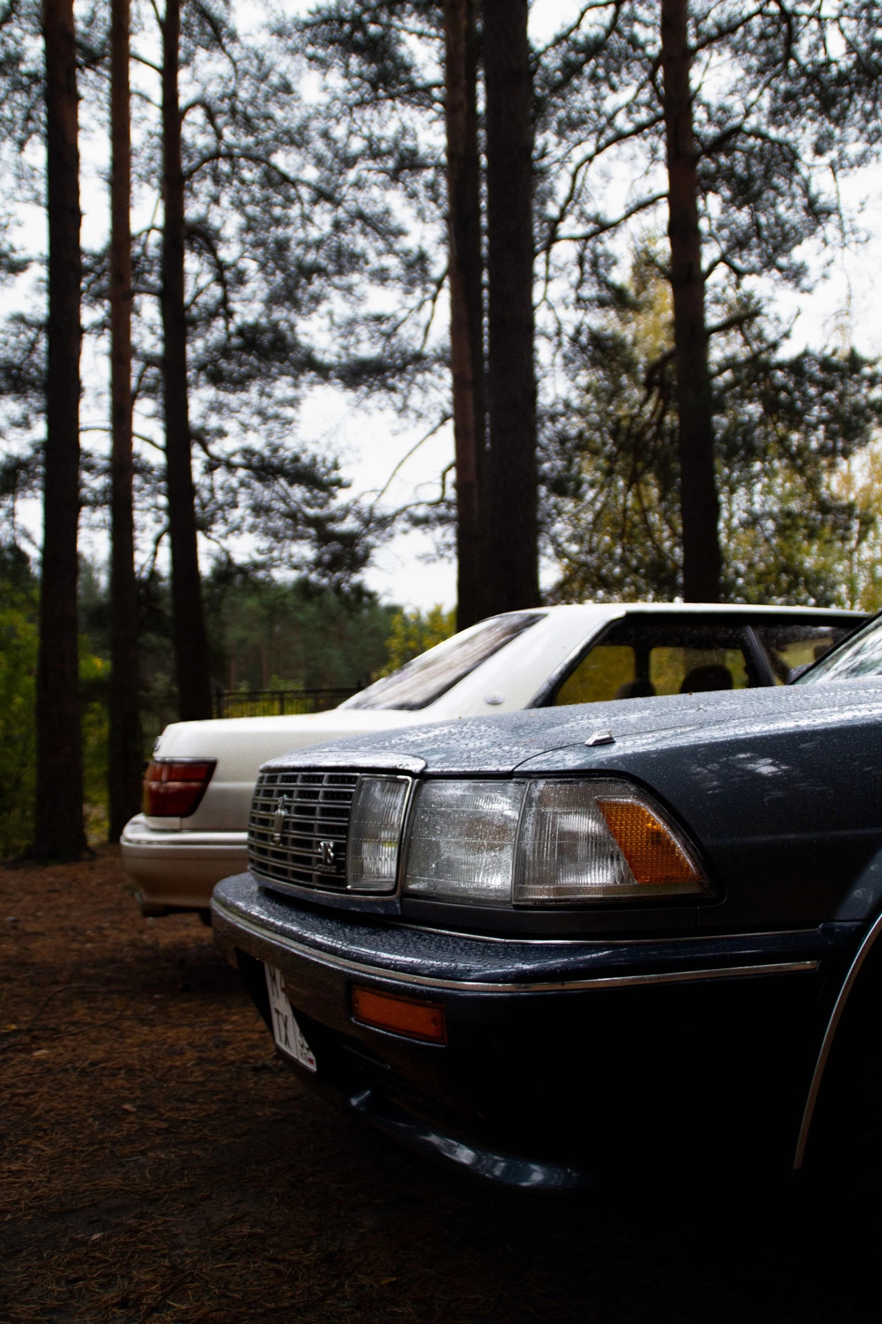 Два идеальных Crown 131 UZS — Toyota Crown (S130), 4 л, 1990 года ...