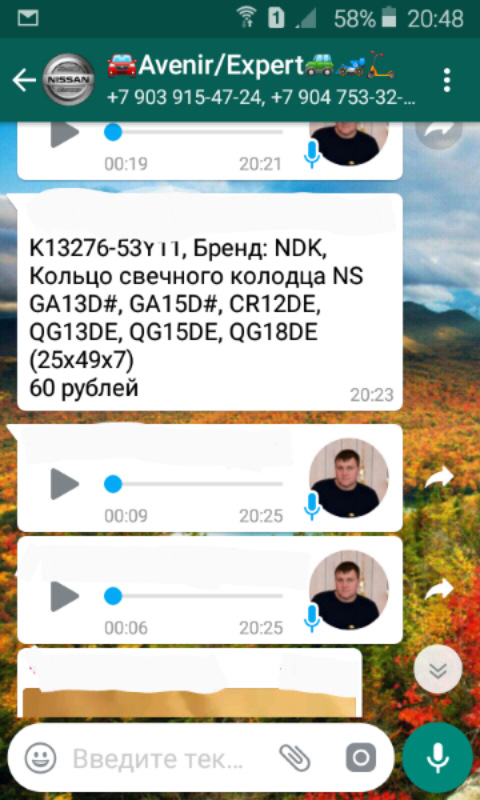 Сальники свечных колодцев — Nissan Expert (W11), 1,8 л, 2001 года ...