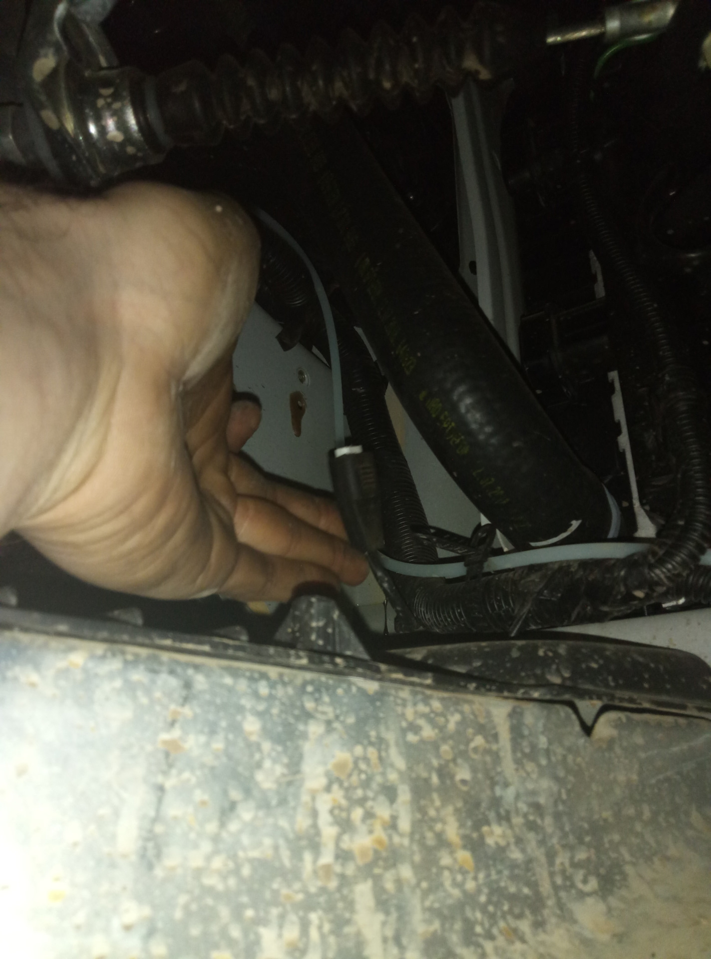 Что за разъем кто знает? — Lada Гранта (1G), 1,6 л, 2018 года ...