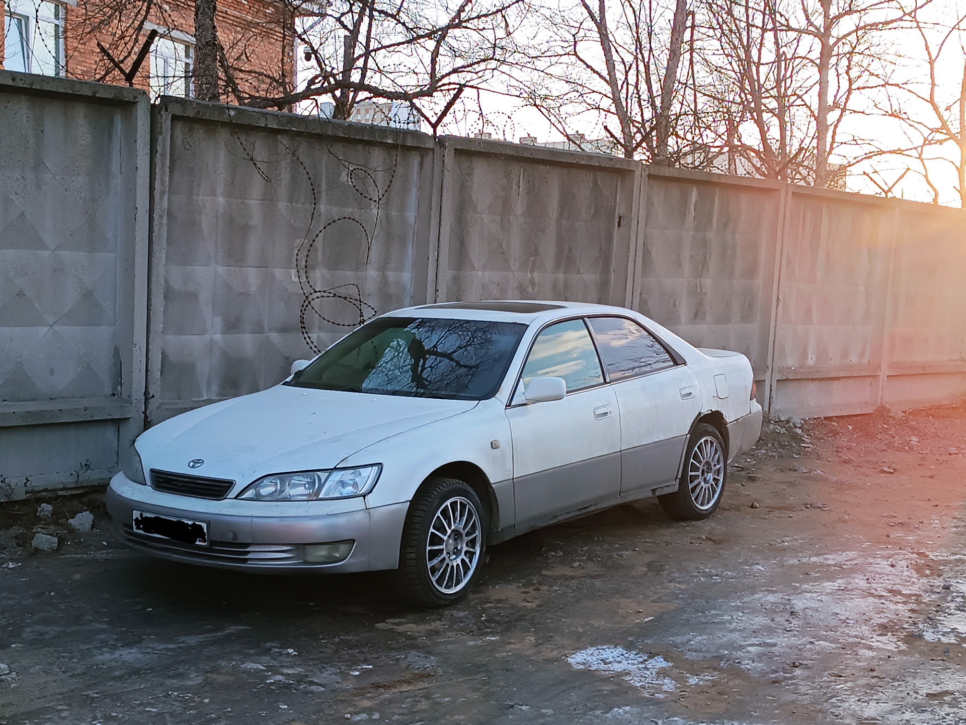 Неделя лютых морозов до -12 и снова +2. По-быстрому переобулся ...