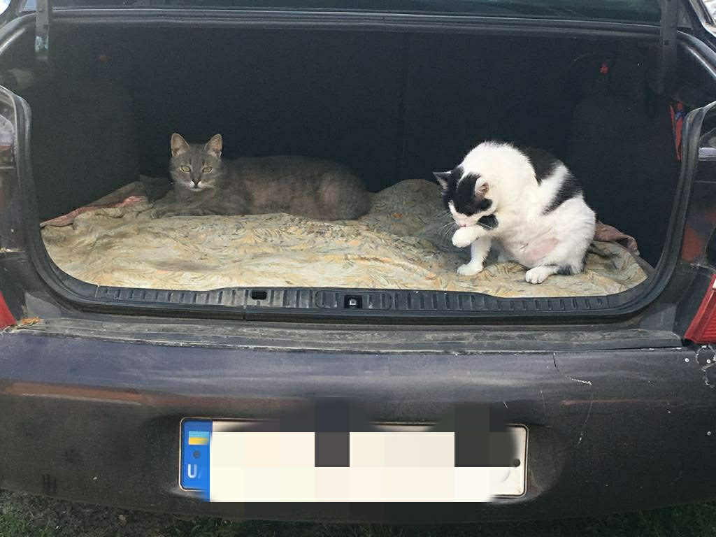 Глушитель — Daewoo Nexia, 1,5 л, 2006 года | своими руками | DRIVE2