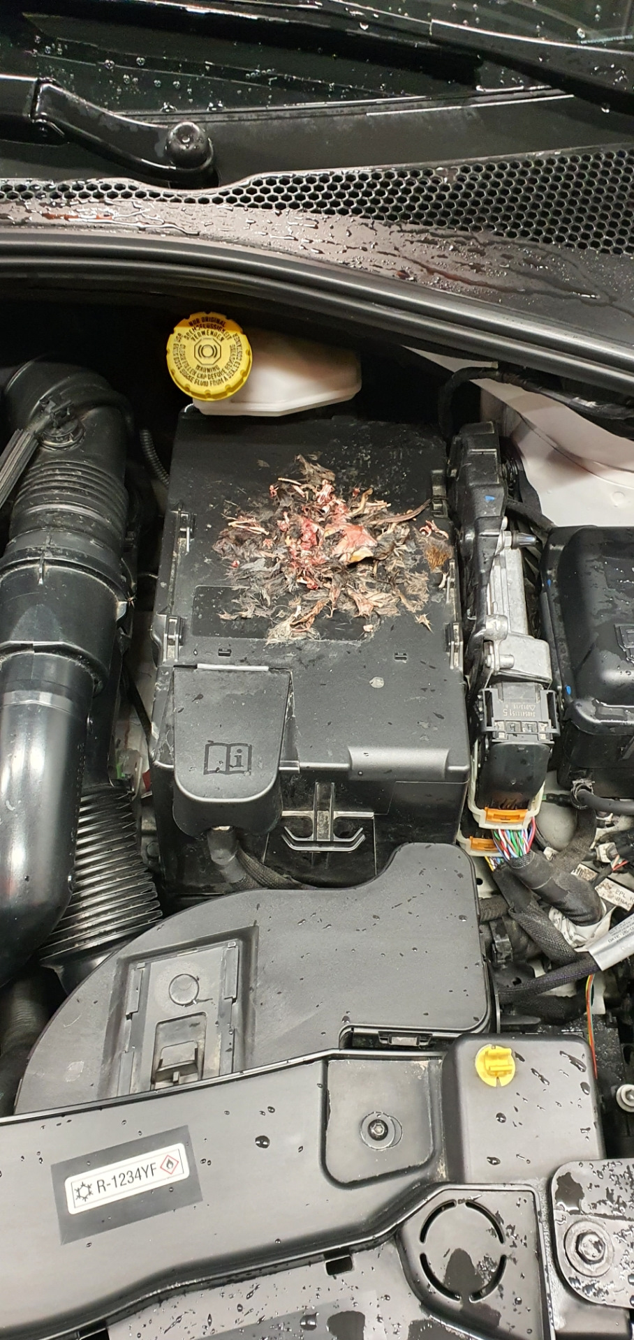 Почему? — Citroen C3 (3G), 1,2 л, 2019 года | наблюдение | DRIVE2