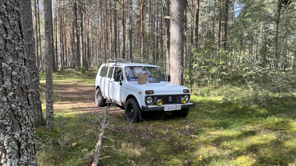 Lada 2129 1.8 бензиновый 1995 | Нива кедр на DRIVE2
