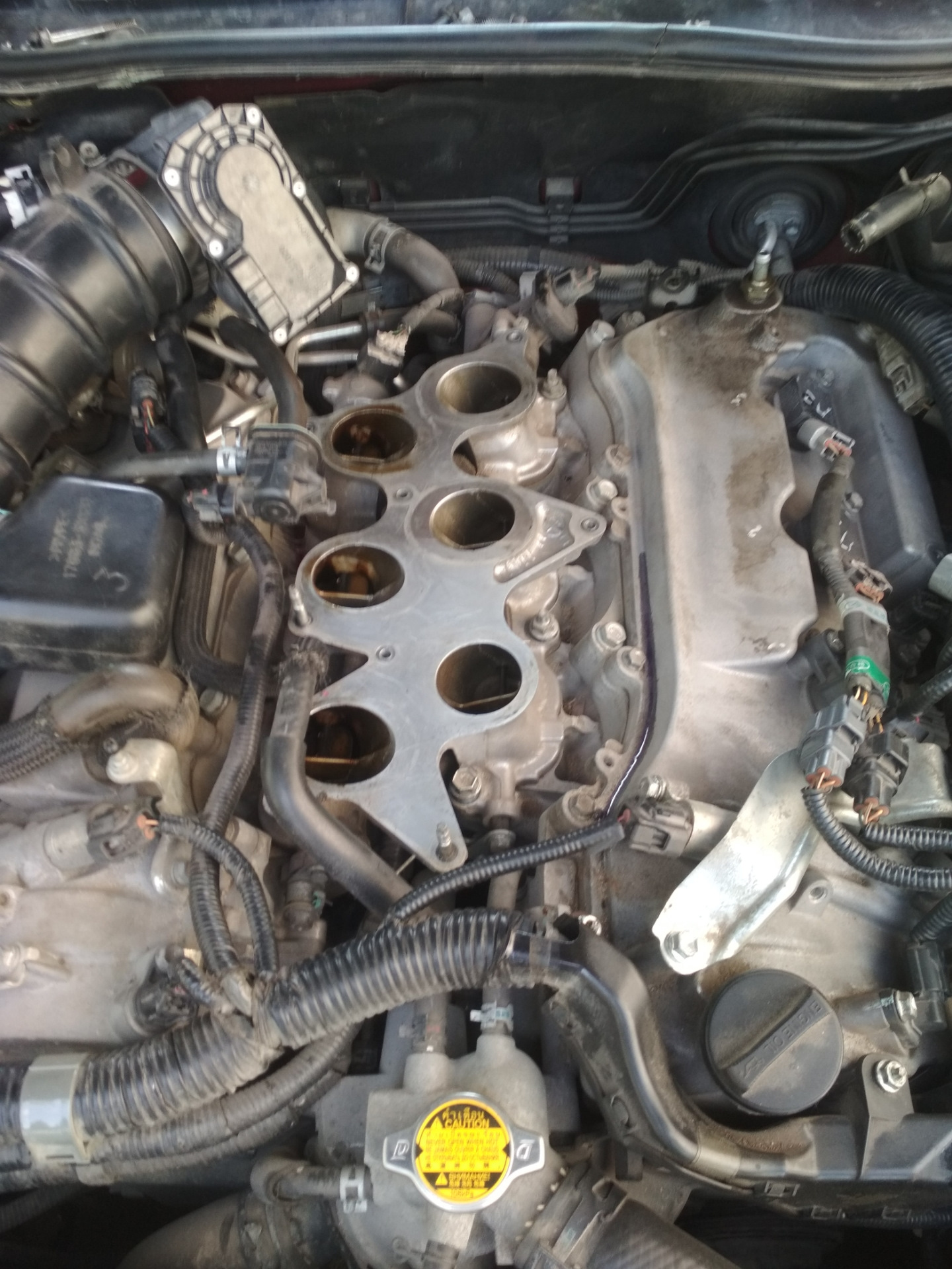 Обслуживание — Lexus IS II, 2,5 л., 2008 года | своими руками | DRIVE2