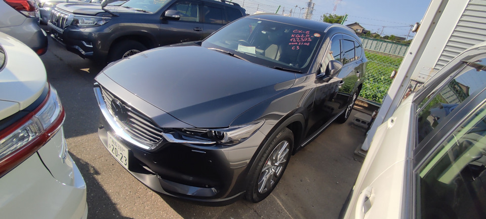 #1. USS Tokyo — Mazda CX-8, 2,2 л, 2018 года | покупка машины | DRIVE2