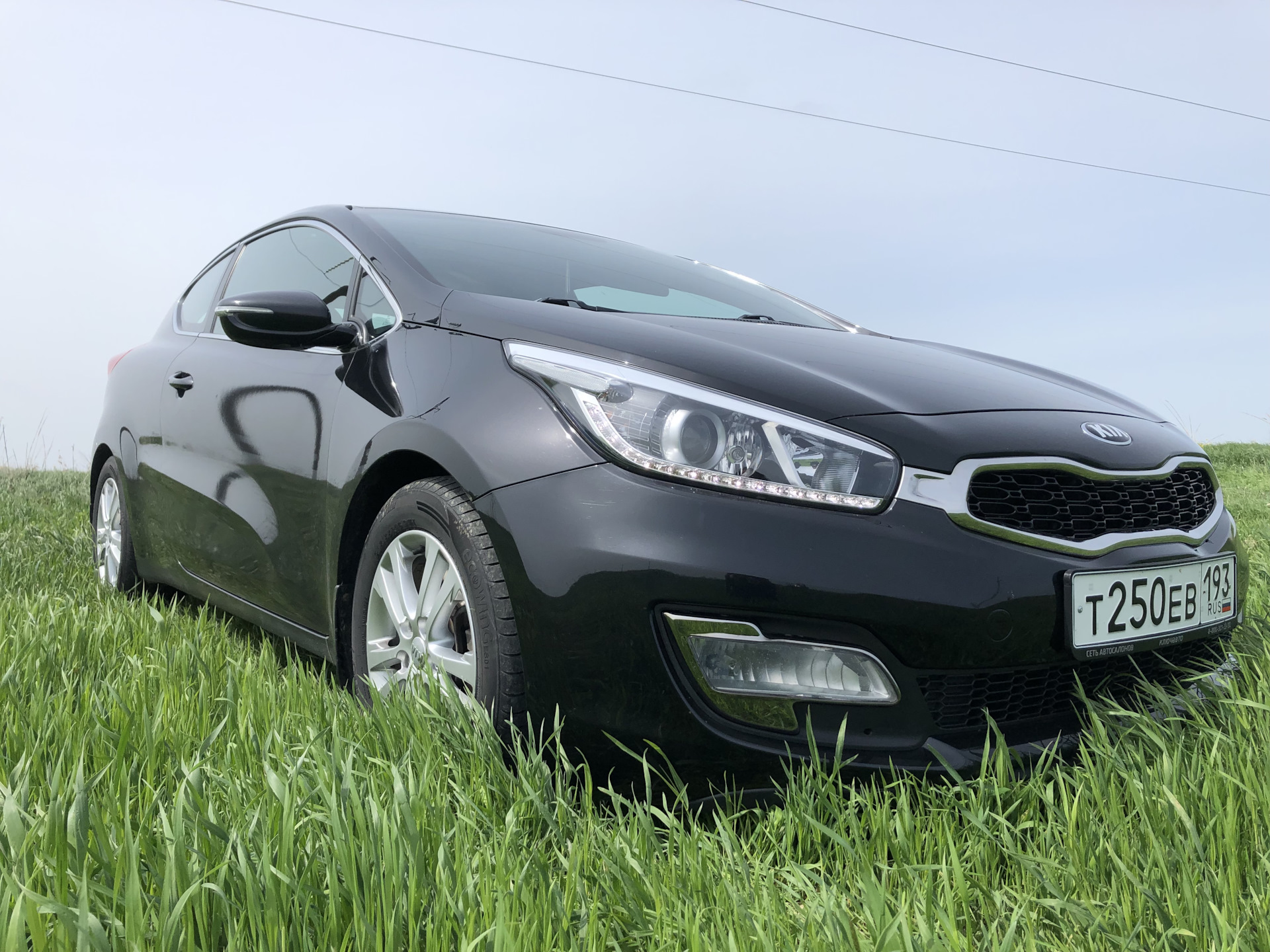 Выйду в поле с конём… — KIA Pro_Ceed (2G), 1,6 л, 2013 года | фотография | DRIVE2