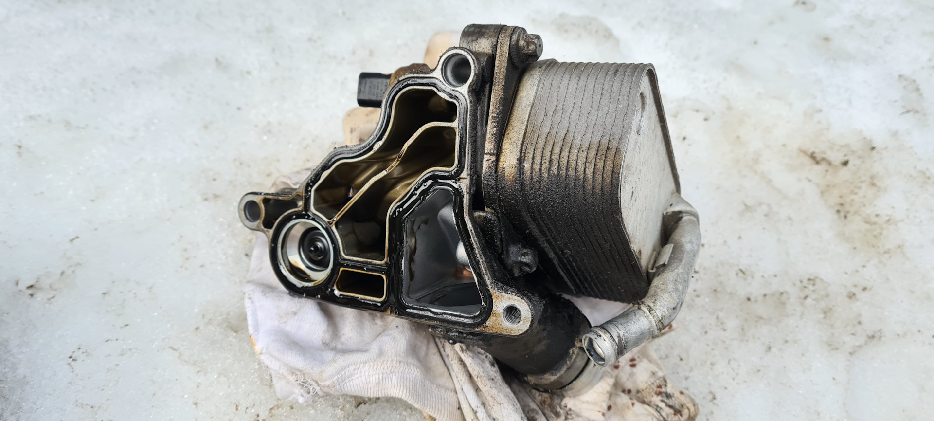 Прокладка масляного фильтра двигателя N55 — BMW X5 (E70), 3 л, 2010 ...