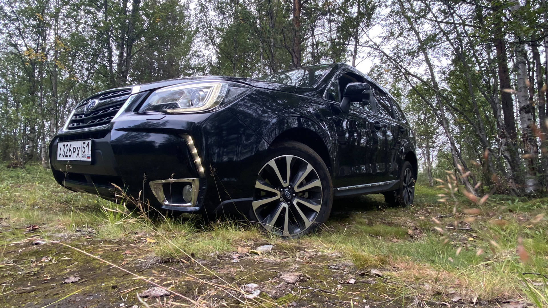 Subaru Forester (SJ) 2.0 бензиновый 2016 | XT 280hp JDM на DRIVE2